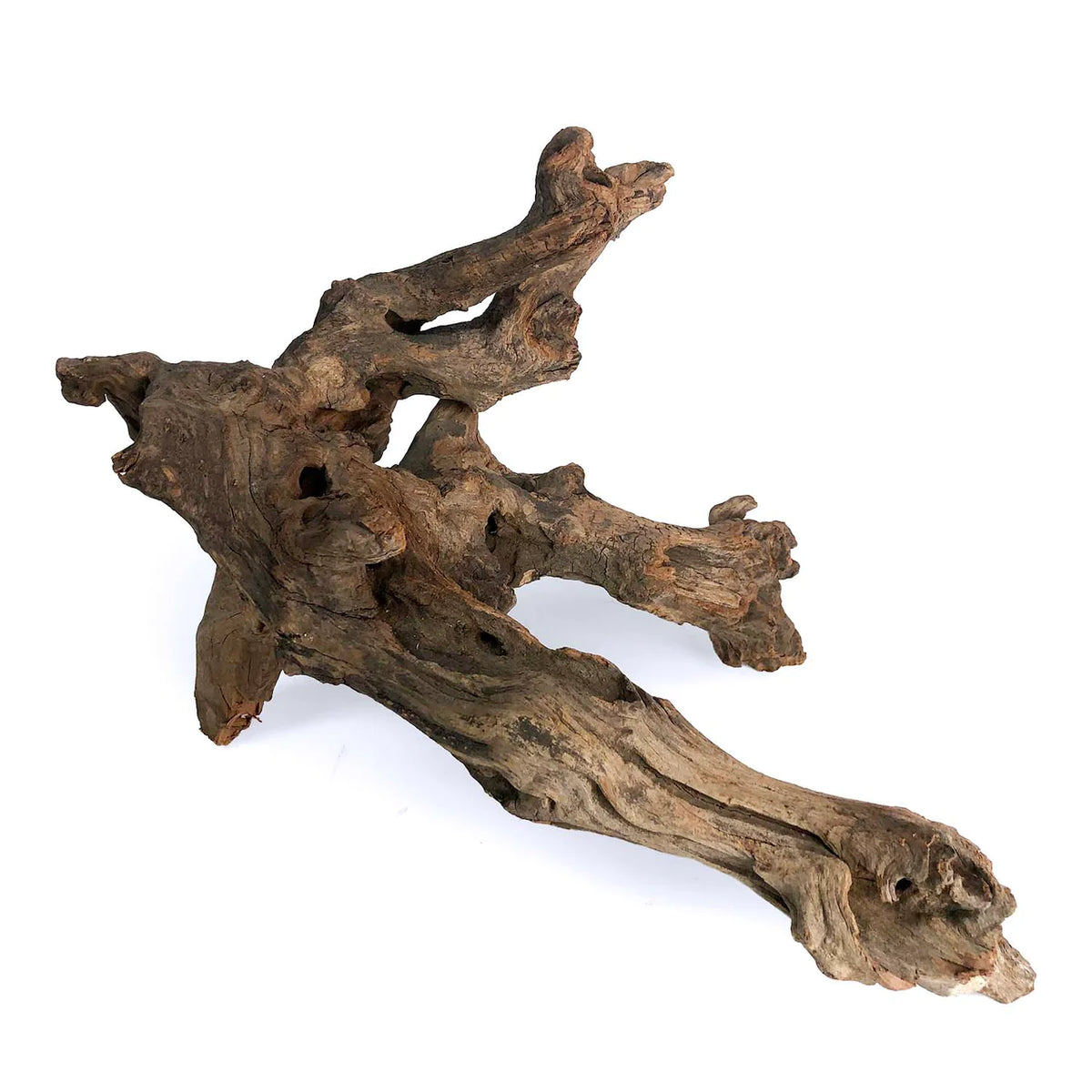Weathered Driftwood Large – Aquarium Roots